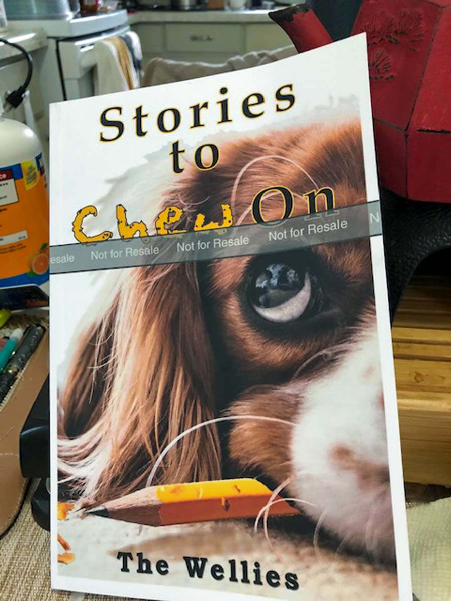 Local seniors group publishing book of 50-word stories