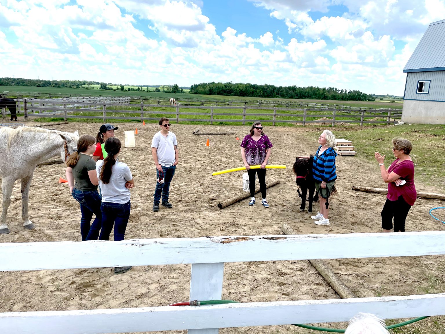 Equine assisted learning brings horses and humans together to learn ...