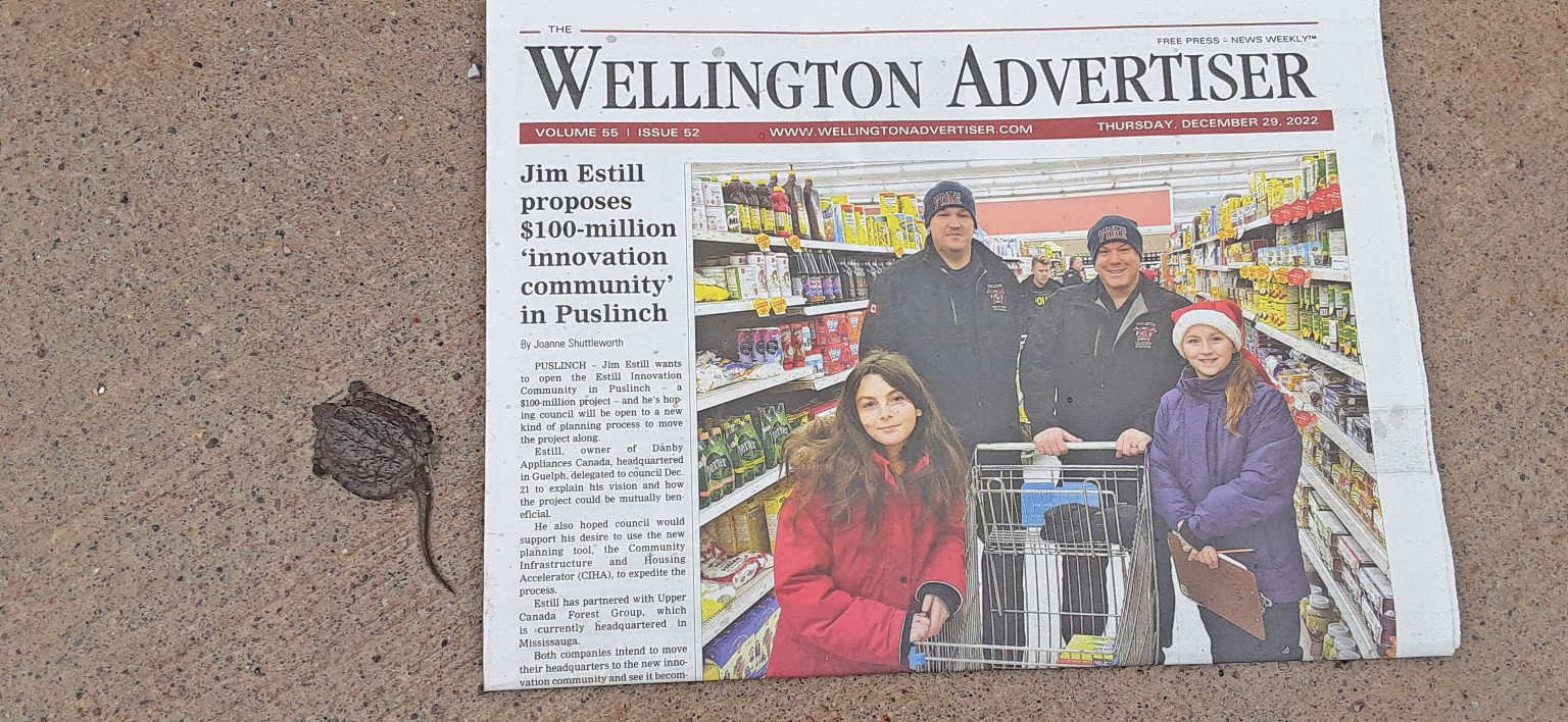 Hillsburgh Library's final patron of 2022 a turtle