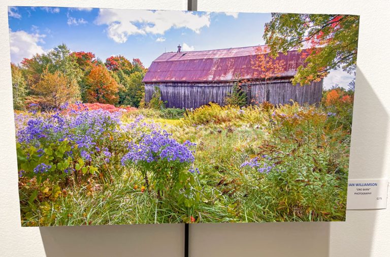 Family of artists collaborates on exhibition at Minto gallery