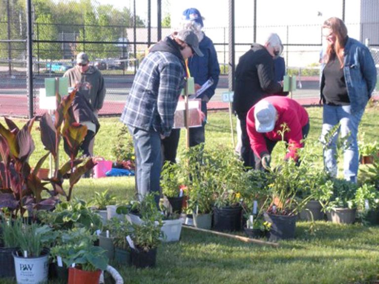 Fergus Hort seeks plants and muscle for Best Bloom’n Plant Sale on May 27