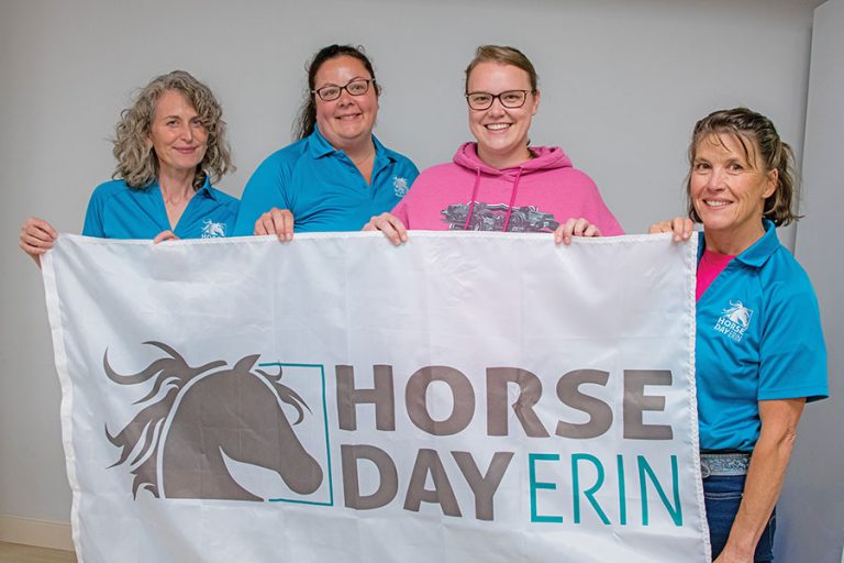 Horse Day at the Erin Fairgrounds