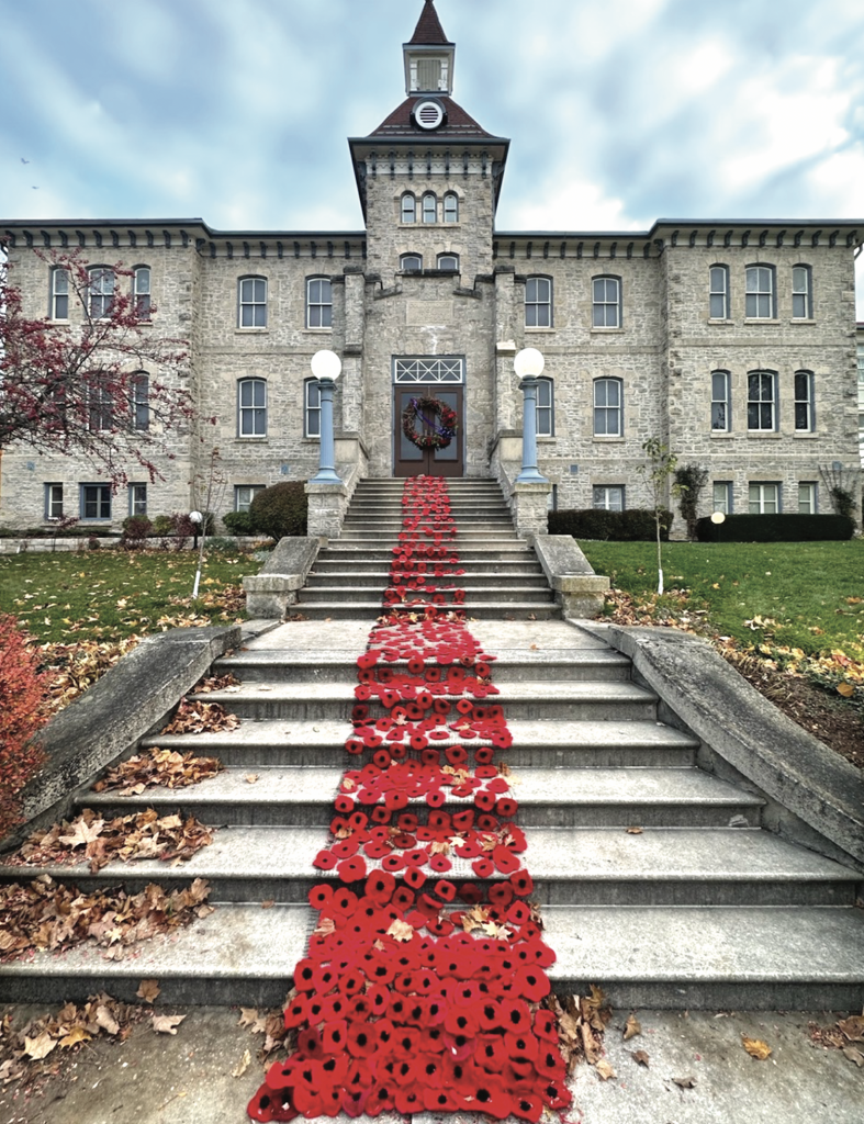 St. John’s poppy project still going strong