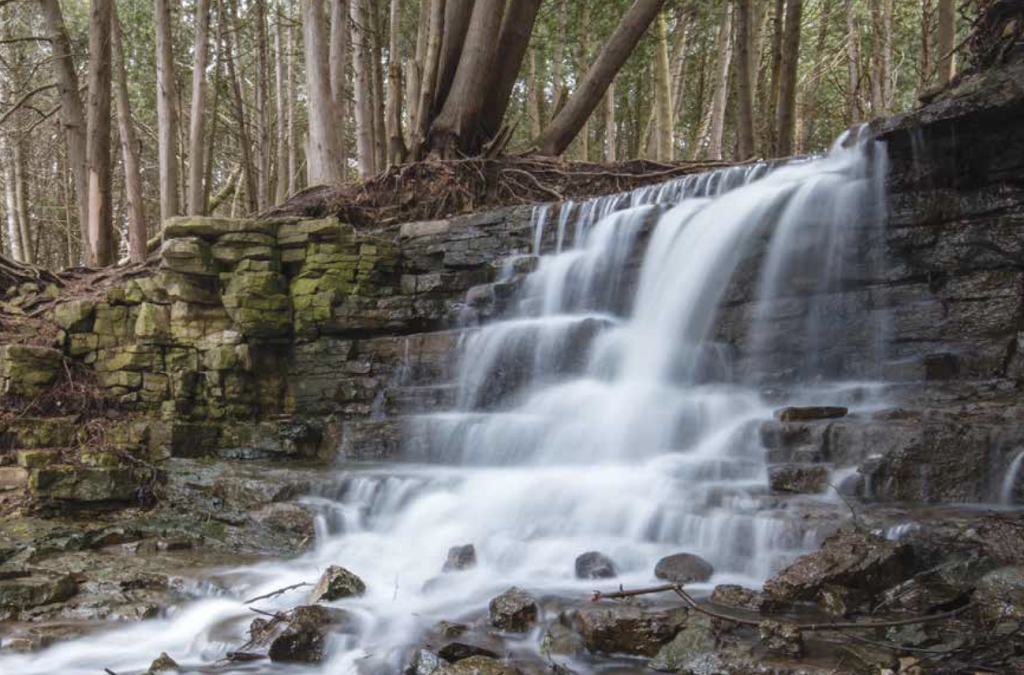 Fergus featured in RBC 2024 calendar