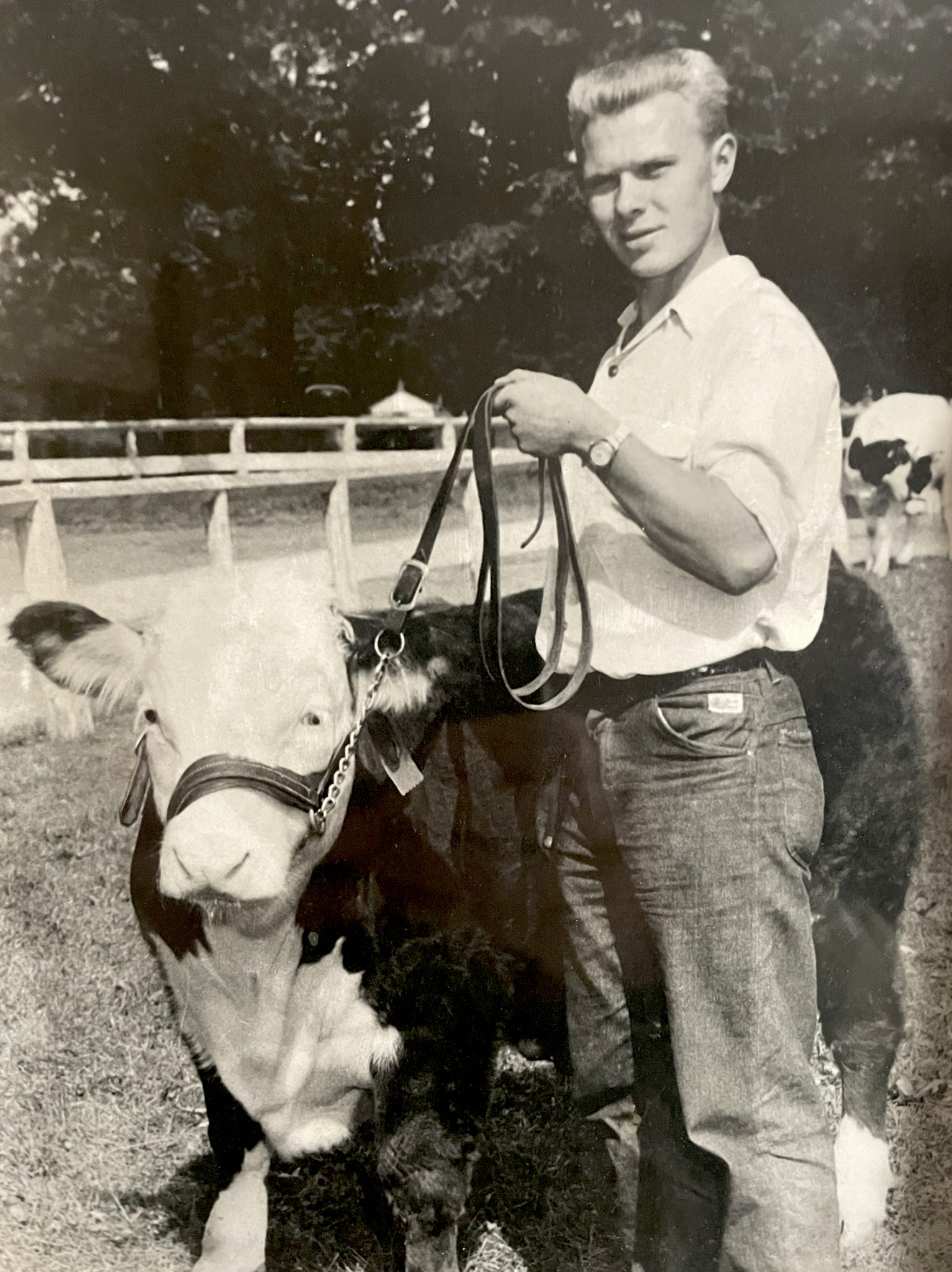 Country keys: Looking back at the Bill Beattie Band over the decades